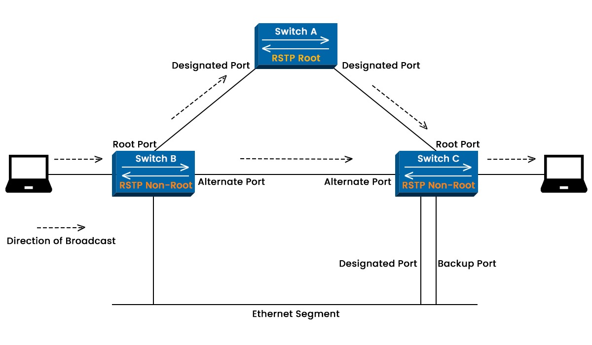 RSTP Protocol in Networking || Rapid Spanning Tree Protocol