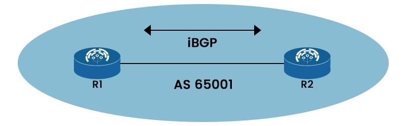 iBGP vs eBGP - What's the Difference? - PyNet Labs