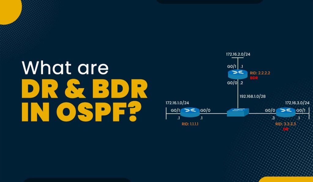 DR and BDR in OSPF: Roles and Election Process - PyNet Labs