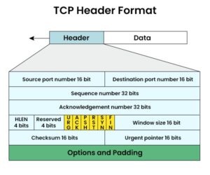 Transport Layer Protocols || Updated 2025 - PyNet Labs