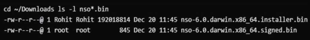 Cisco NSO Download and Installation - Explained in Detail
