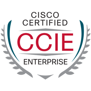 Best Networking Courses and Certification Online (2025)