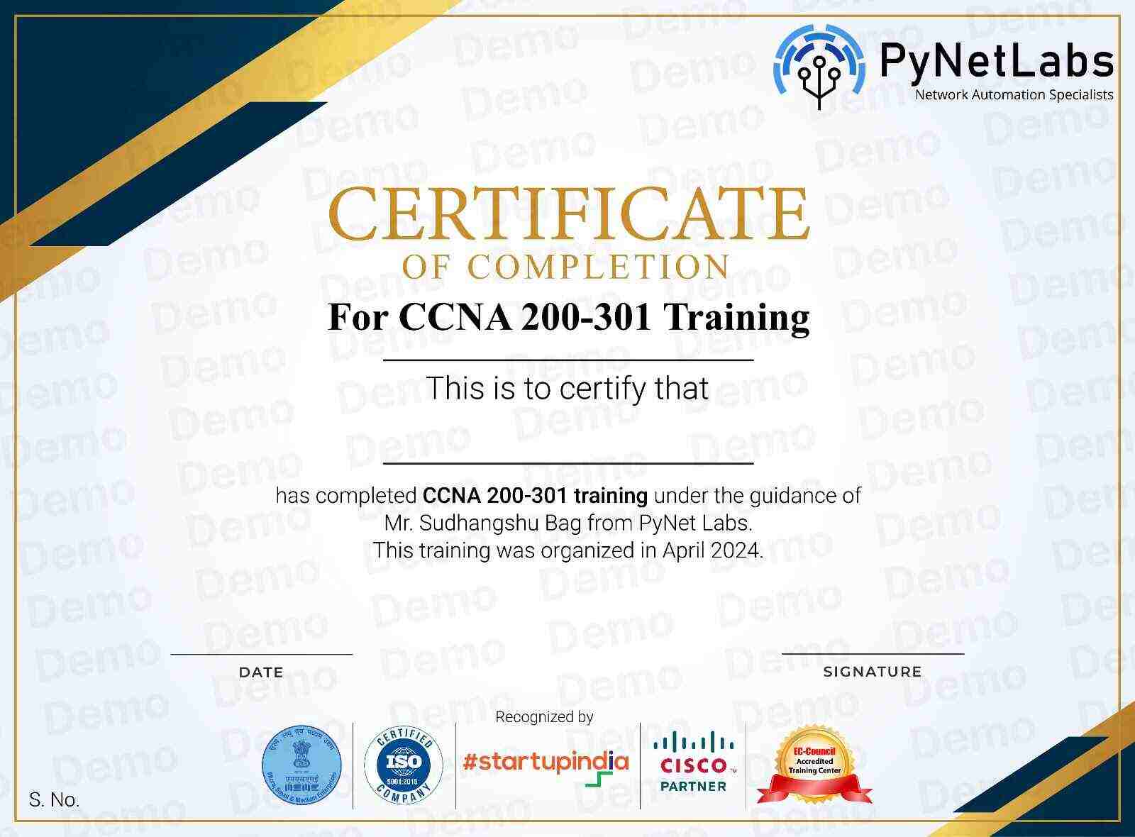 Best Networking Courses and Certification Online (2025)
