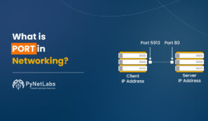 What is Port in Networking? Types, Uses & Security (2025)
