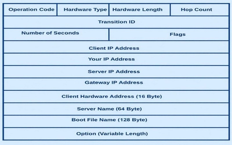 DHCP in Computer Networks | How It Works & Its Importance