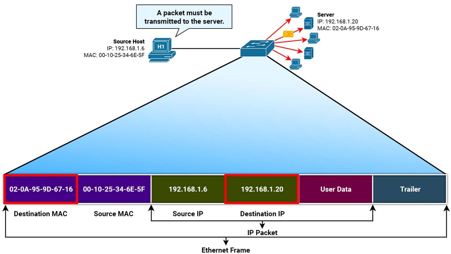 What is MAC Address? Types, Uses & How to Find It (2025)