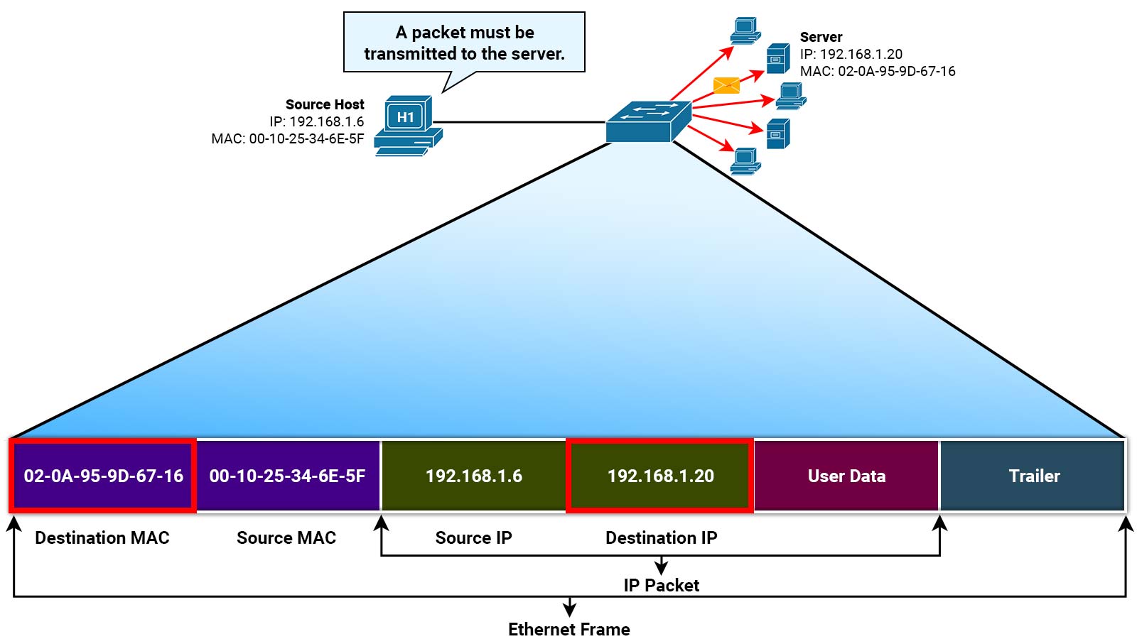 What is MAC Address? Types, Uses & How to Find It (2025)