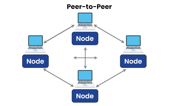 Network Architecture: Components, Types, & Best Practices - PyNet Labs