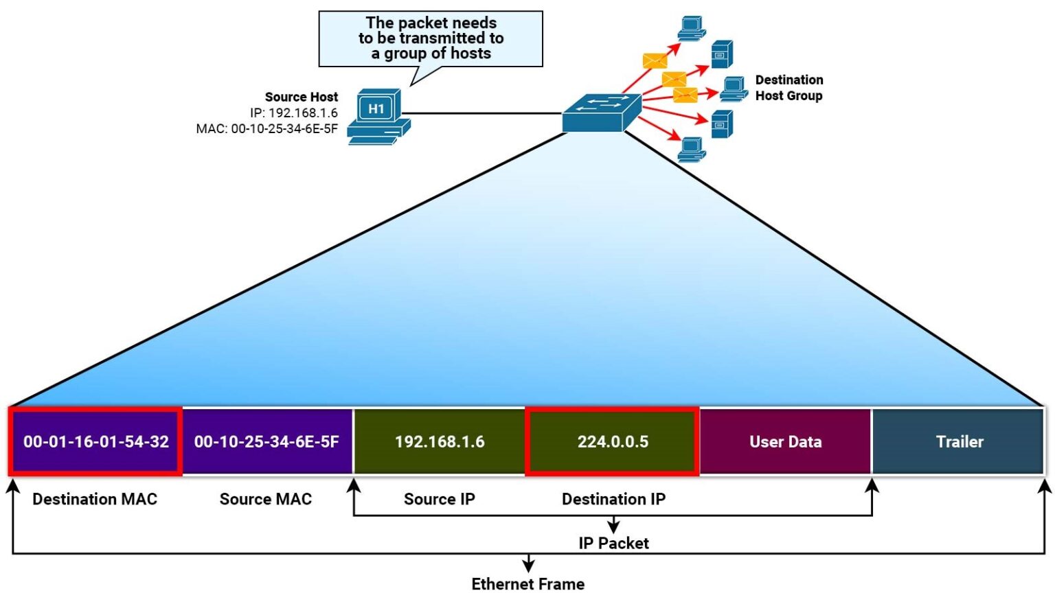 What is MAC Address? Types, Uses & How to Find It (2025)