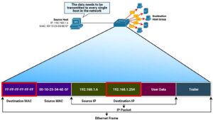 What is MAC Address? Types, Uses & How to Find It (2025)
