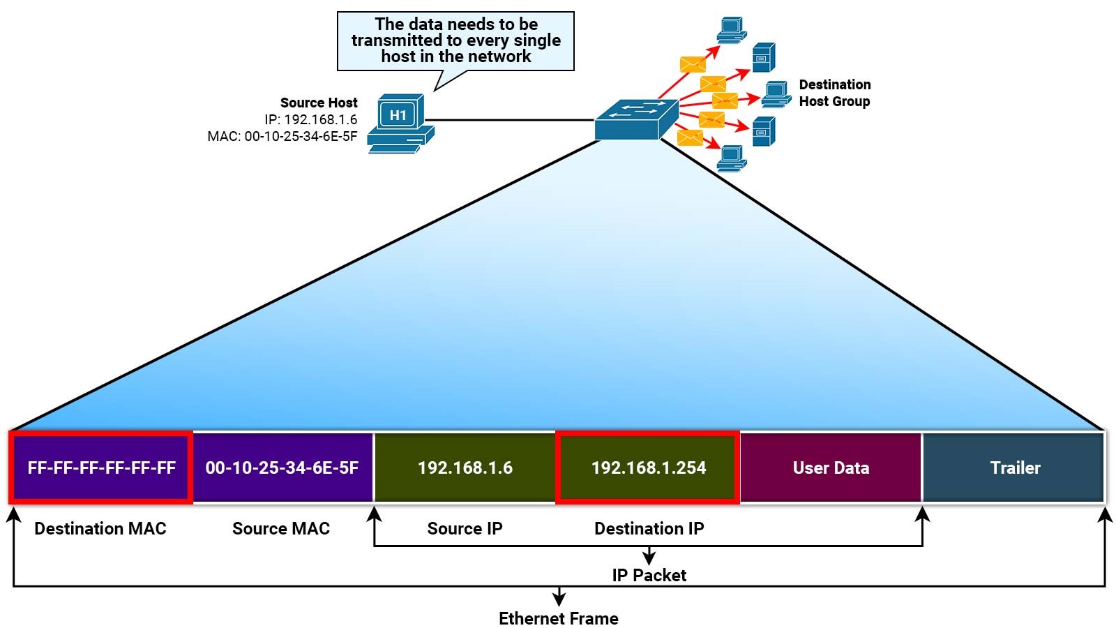 What is MAC Address? Types, Uses & How to Find It (2025)